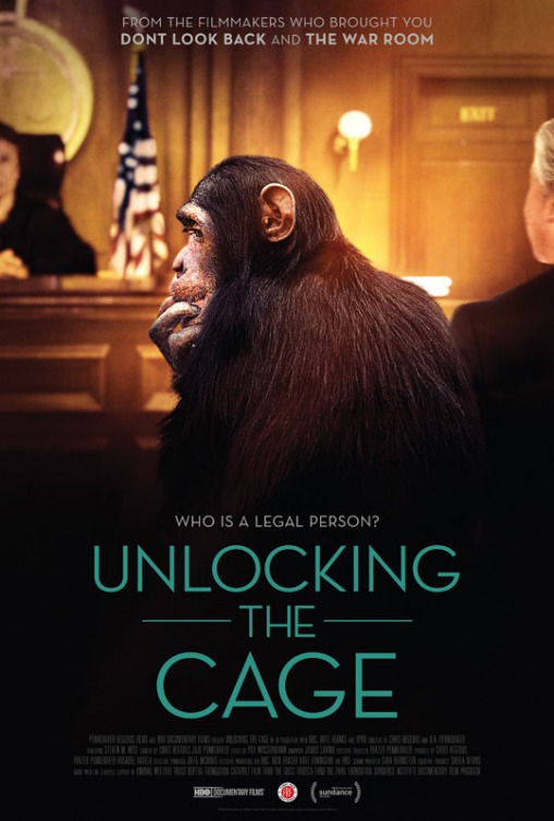 Unlocking the Cage Poster 1 | 金海报-GoldPoster