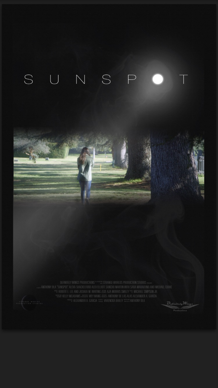Sunspot Poster 1: Full Size Poster Image | GoldPoster